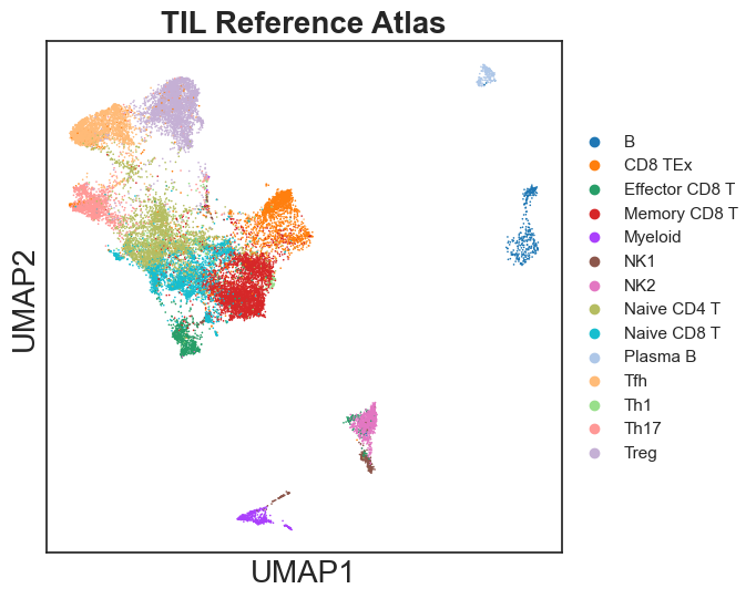 TNBC sample — scATAnno: Automated Cell Type Annotation for single-cell ...